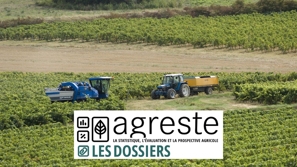Viticulture du bassin Sud-Ouest : une diversité de vignobles - Agreste ...