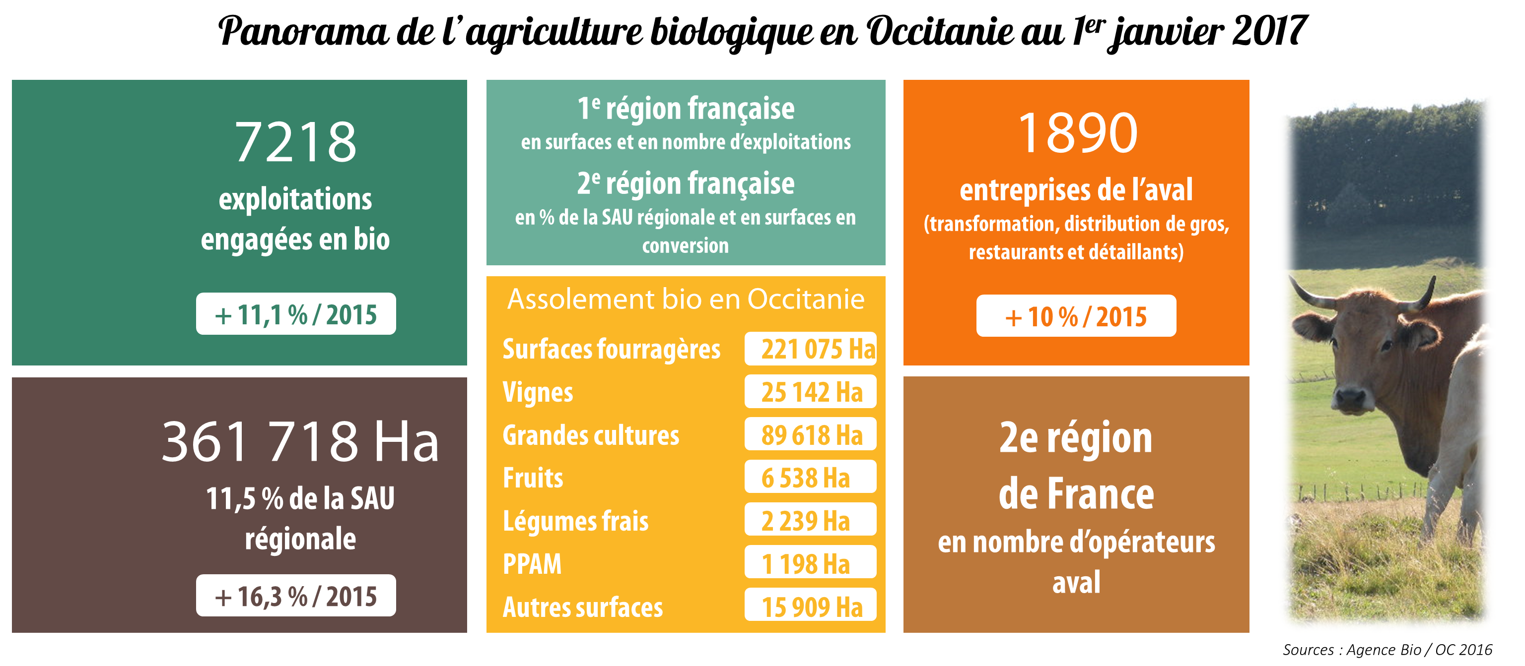 Chiffres clefs, études et analyses | DRAAF Occitanie