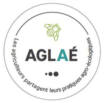 AGLAE, un référentiel de pratiques basé sur des retours d’expérience d ...